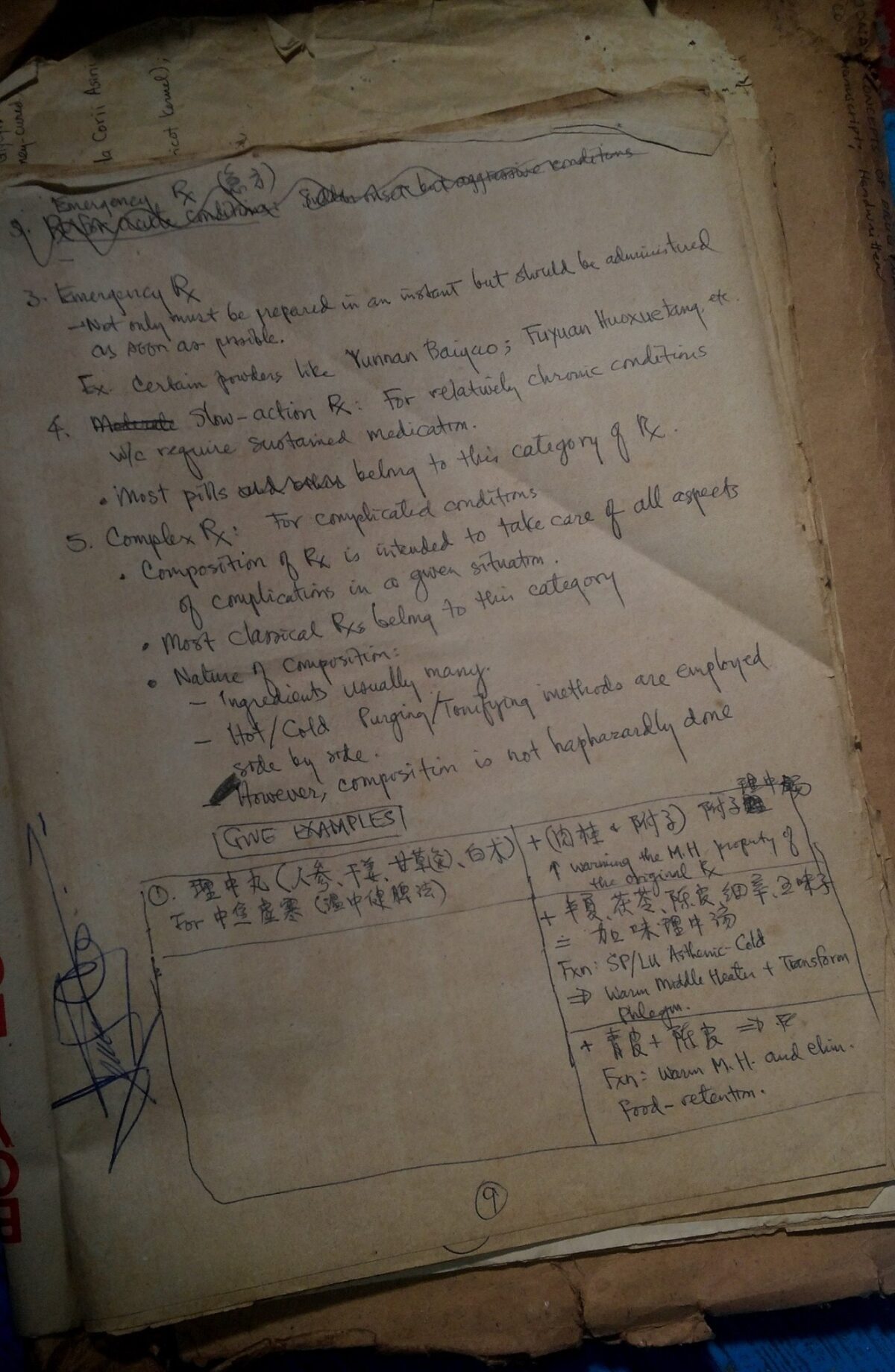 Botanist Leonardo L. Co’s handwriting – Constantino Foundation